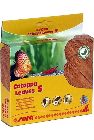 Sera Catappa Yaprağı S 14 cm (1 Adet) Acık