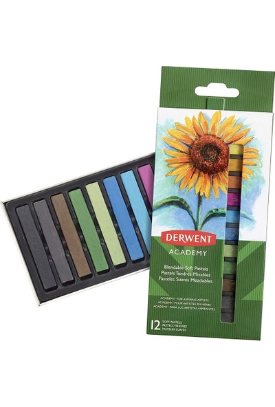 Derwent 2302397 Academy Soft Pastel 12 Renk Derwent 2302397 Academy Soft Pastel 12 Renk