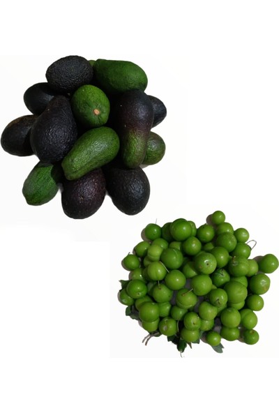 Alanya Özlem Erik Papaz (1 Kg) Avokado 1 kg Alanya Özlem Erik Papaz (1 Kg) Avokado 1 kg