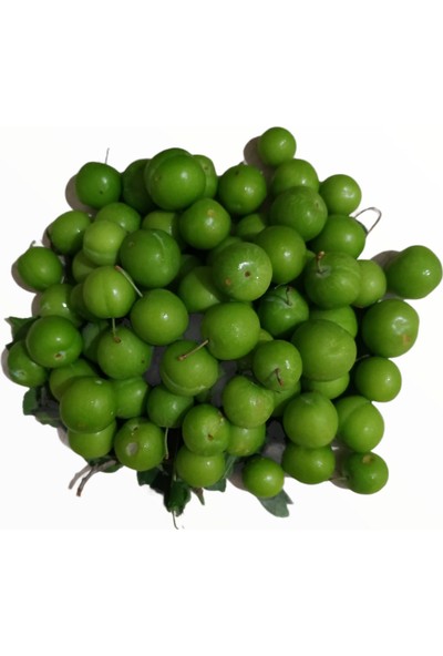 Alanya Özlem Erik ( Can Erik) Dalından Bol Sulu 1 kg Alanya Özlem Erik ( Can Erik) Dalından Bol Sulu 1 kg