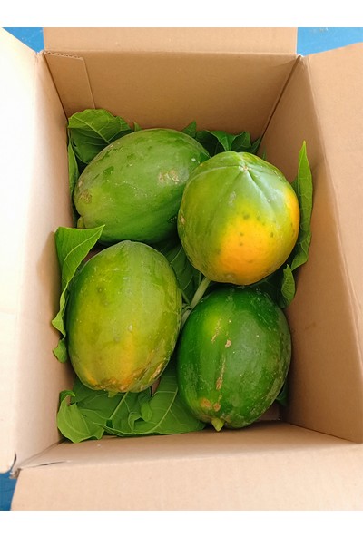 Becos Yeşil Papaya 1 kg
