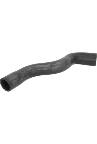 Rapro Renault Megane 1 Radyatör Hortumu Üst 1997 ve Üstü Yıllar