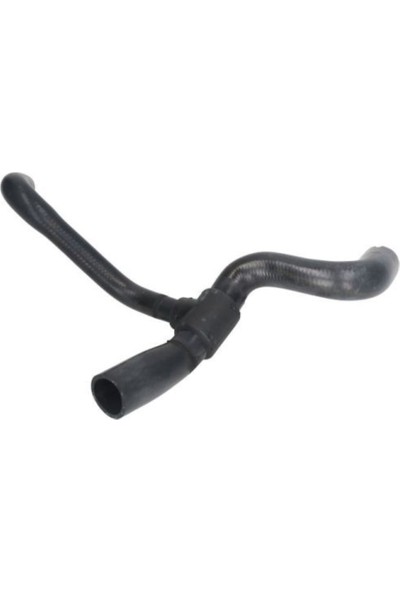 Rapro Ford Focus Radyatör Hortumu Alt 1998-2005 Arası Uyumlu (98AB 8B273 Bj) Rapro Ford Focus Radyatör Hortumu Alt 1998-2005 Arası Uyumlu (98AB 8B273 Bj)
