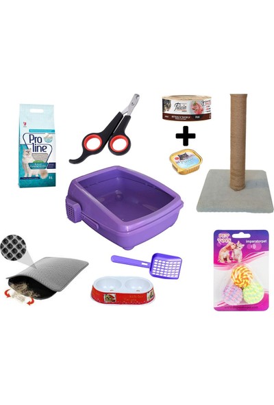 Mio Kedi Başlangıç Seti