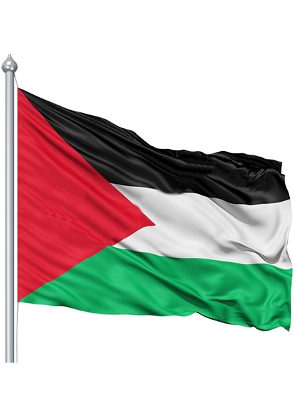 Bayrakal Filistin Bayrağı Palestine Flag 100 x 150 cm Fiyatı, 4.5 Puanı İle