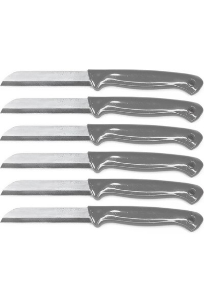 Solingen 6'lı Bıçak Takımı Gri Simli Meyve Sebze Bıçağı Solingen 6'lı Bıçak Takımı Gri Simli Meyve Sebze Bıçağı
