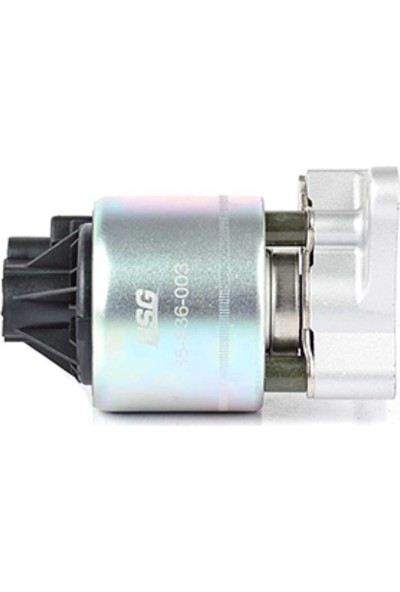 BSG Opel Astra G Vectra B Egr Valfi 1996-2000 Arası Uyumlu BSG Opel Astra G Vectra B Egr Valfi 1996-2000 Arası Uyumlu