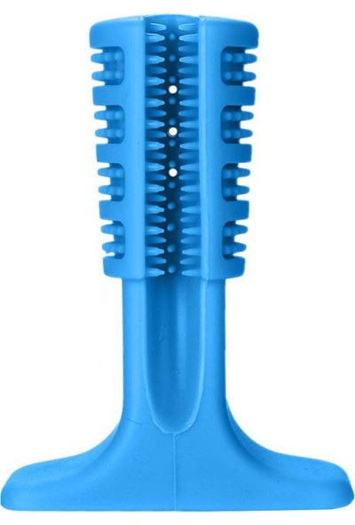 Transformacion Küçük Köpek 10 cm Diş Fırçası Isırma Kemiği 714385 Transformacion Küçük Köpek 10 cm Diş Fırçası Isırma Kemiği 714385