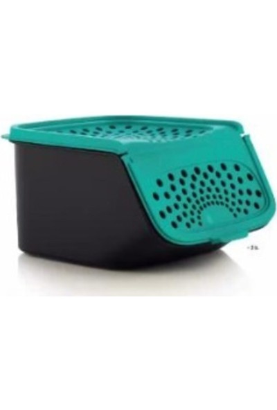 Tupperware Sarımsak Saklama Kabı 2,3 L