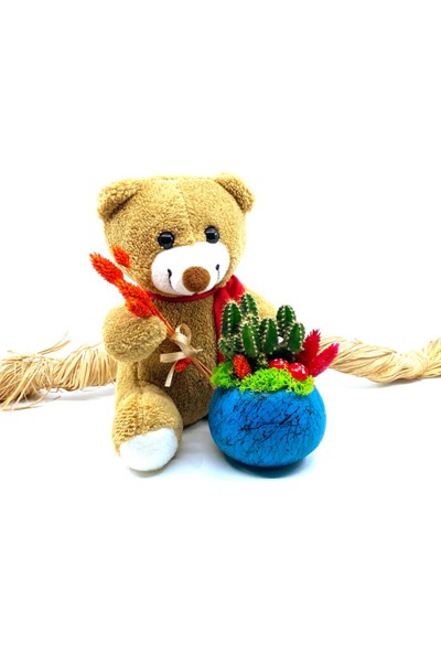 Mega Kanyon Sevimli Ayıcık ve Canlı Kaktüs Çiçekli Saksı Aranjmanı M8