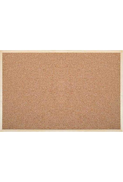 Noki Inter Mantar Pano Ahşap Çerçeve 60X90