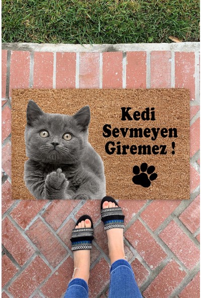 Buket Home Kedi Sevmeyen Giremez Iç ve Dış Mekan Dekoratif Çok Amaçlı Kapı Önü Paspası