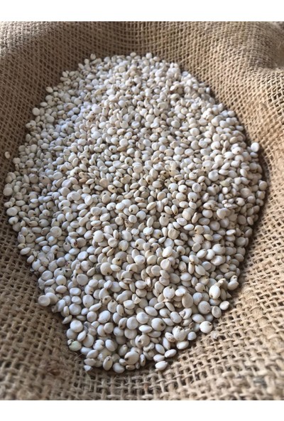 Bahar Tarım Beyaz Sorgum Sudan Otu Tohumu 5 kg