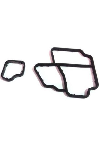 BSG Volkswagen Polo-Caddy-Crafter Yağ Soğutucu Contası 2010 ve Üstü Yıllar BSG Volkswagen Polo-Caddy-Crafter Yağ Soğutucu Contası 2010 ve Üstü Yıllar