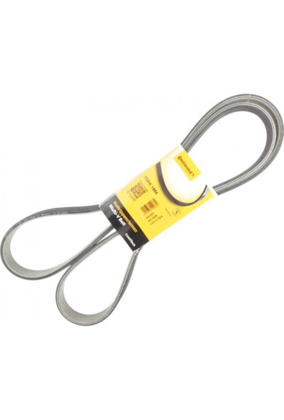 Continental Bmw F07-10-11-01-02-X5 E70-X6 E71 V Kayışı 2008-2017 Arası Uyumlu Continental Bmw F07-10-11-01-02-X5 E70-X6 E71 V Kayışı 2008-2017 Arası Uyumlu