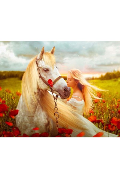 Patladı Gitti Altın Güzellik Tuvale Gerili Sayılarla Boyama Hobi Seti 40 x 50 cm