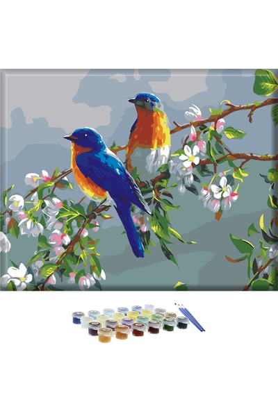 Doruk Baskı Sayılarla Boyama Seti Daldaki Kuşlar Doruk Baskı Sayılarla Boyama Seti Daldaki Kuşlar