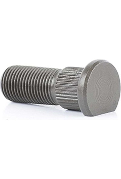 BSG Ford Transit M15 Bijon Ön 1993 ve Üstü Yıllar