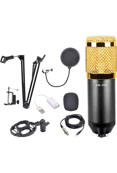Ally BM800 Stüdyo Kayıt Youtuber Mikrofonu Seti + Stand + Pop Filtre AL-32606 Ally BM800 Stüdyo Kayıt Youtuber Mikrofonu Seti + Stand + Pop Filtre AL-32606