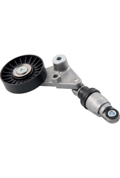 Braxis Dayco APV2079 Alternator V Kayıs Gergı Rulmanı Marea 2.4jtd 96