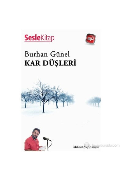 Kar Düşleri-Burhan Günel