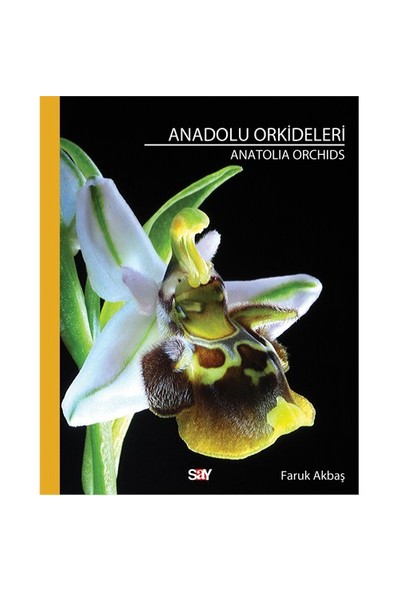 Anadolu Orkideleri-Faruk Akbaş