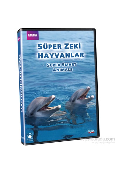 Super Smart Animals (Süper Zeki Hayvanlar) (DVD)