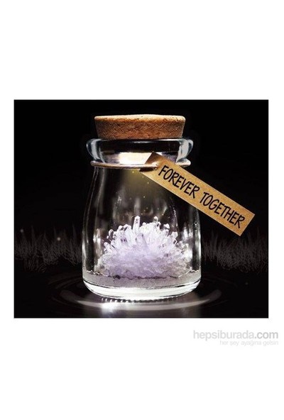 Mudos Büyüyen Kristal - Cyristal Garden Beyaz Mudos Büyüyen Kristal - Cyristal Garden Beyaz