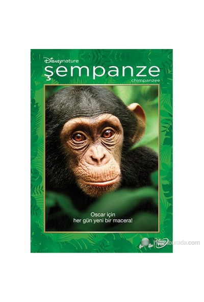 Chimpanzee (Şempanze) (DVD)