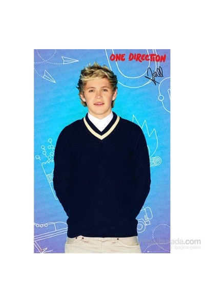 One Direction Niall Pop Maxi Poster One Direction Niall Pop Maxi Poster
