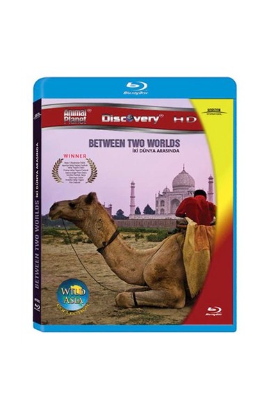 Between Two Worlds (İki Dünya Arasında) (Blu-Ray Disc)