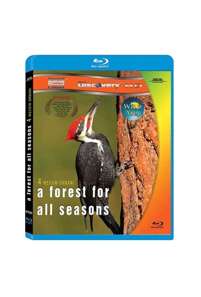 A Forest For All Seasons (Dört Mevsim Ormanı) (Blu-Ray Disc)