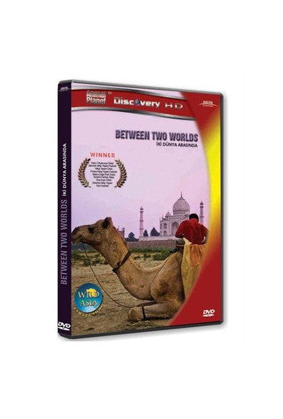 Between Two Worlds (İki Dünya Arasında)