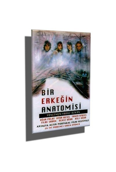 Bir Erkeğin Anatomisi ( DVD ) Bir Erkeğin Anatomisi ( DVD )