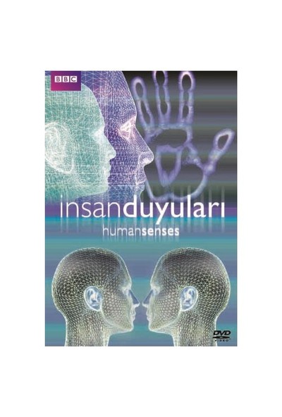 Human Senses (İnsan Duyuları)