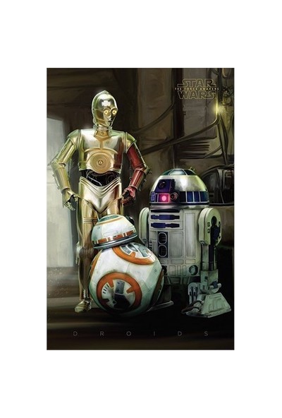 Pyramid International Maxi Poster - Star Wars Episode Vıı Droids Pyramid International Maxi Poster - Star Wars Episode Vıı Droids