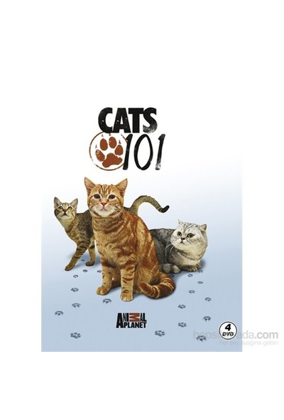 Cats 101 (DVD)