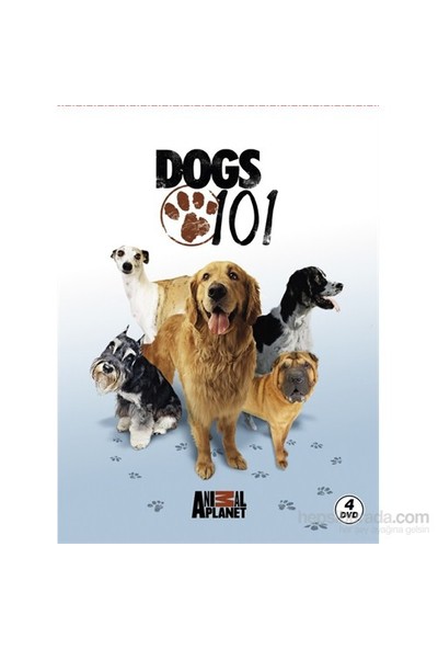 Dogs 101 (DVD) Dogs 101 (DVD)