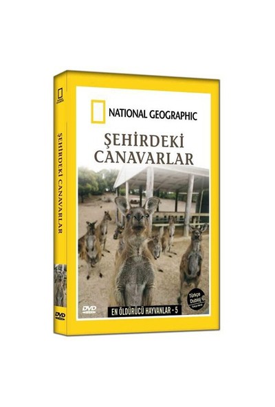 National Geographic: Şehirdeki Canavarlar