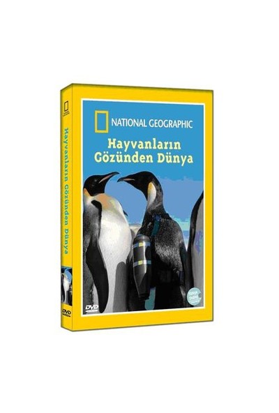 National Geographic: Hayvanların Gözünden Dünya