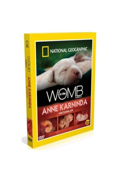 National Geographic: Anne Karnında Hayvanlar