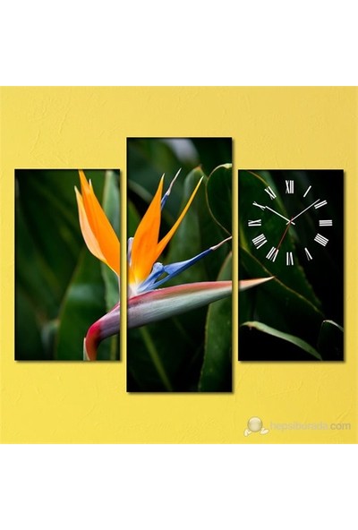Tabloshop - Cennet Çiceği 3 Parçalı Simetrik Canvas Tablo Saat - 80X60cm Tabloshop - Cennet Çiceği 3 Parçalı Simetrik Canvas Tablo Saat - 80X60cm