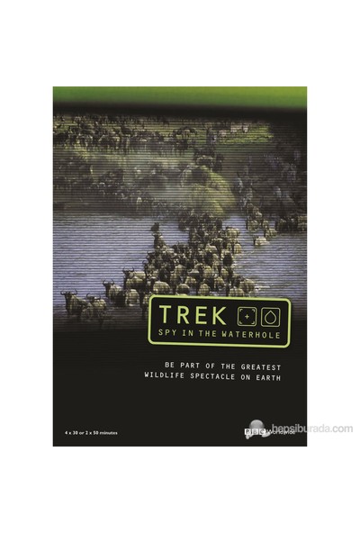 Trek: Spy On The Wildebeest (Antiloplar: Göç Yolundaki Casus)