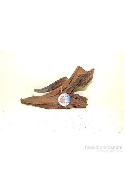 Akvaryum Dekor Kütük Mango Küçük