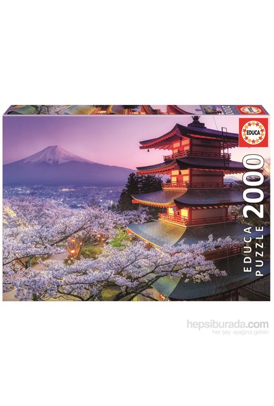 Educa Mount Fujı, Japan Educa Mount Fujı, Japan