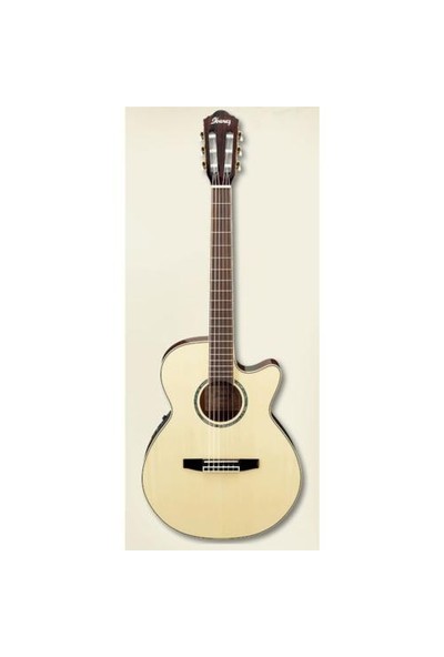 Ibanez Aeg10 Ne Naturel Elektro Klasik Gitar Ibanez Aeg10 Ne Naturel Elektro Klasik Gitar