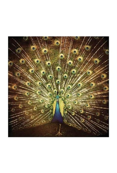 Ani DiFranco - ¿Which Side Are You On?