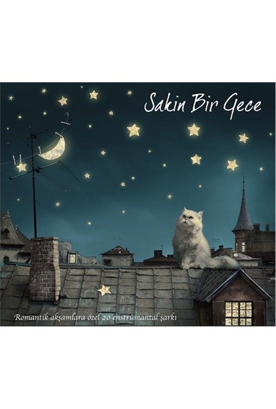 Sakin Bir Gece Sakin Bir Gece