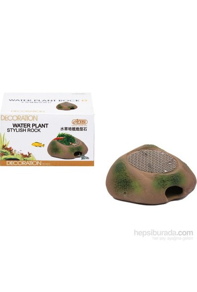 Ista Bitki Ekilebilir Cichlid Yuvası