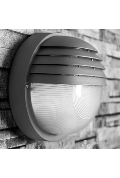 Oval Dış Mekan Gümüş Rengi Aydınlatma Armatürü